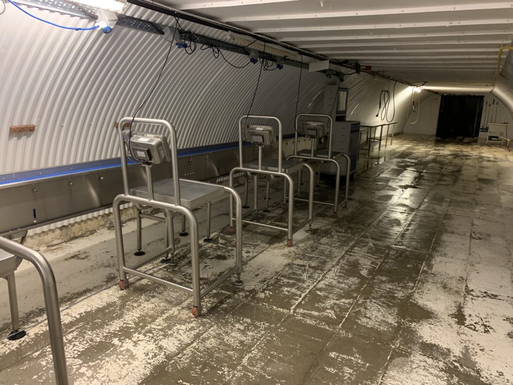 Growing and Going Underground